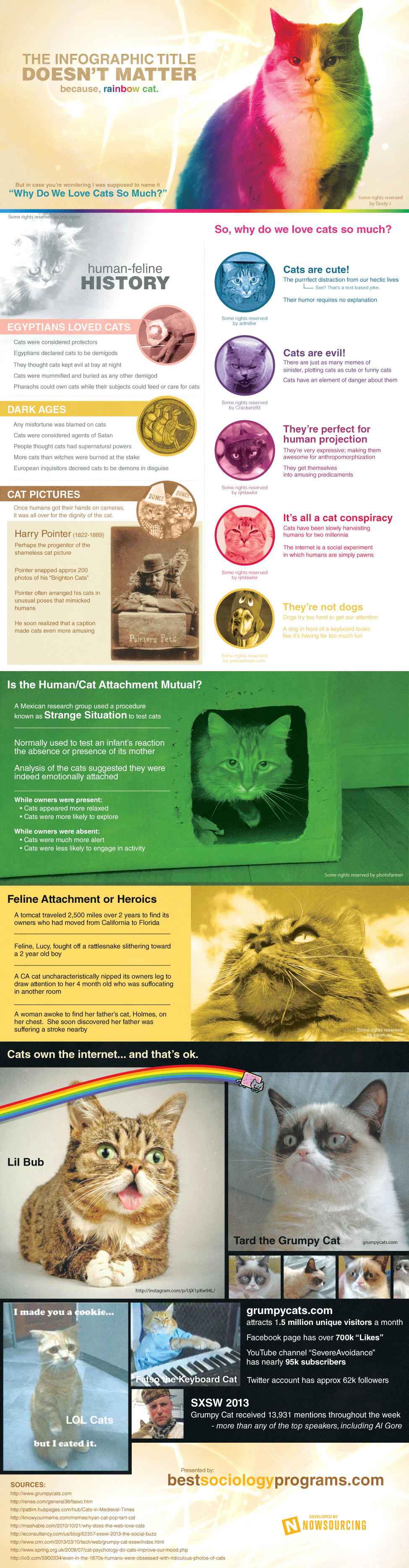 cats-infographic – Webirix