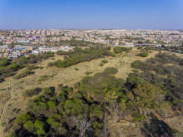 Problemas html acentos y eñes: charset UTF-8 / ISO-8859-1 – Webirix